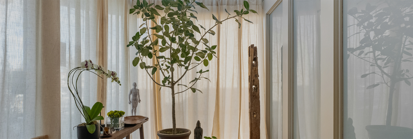 The Leading Acupuncture and Integrative Medical Practice in Vallejo ...